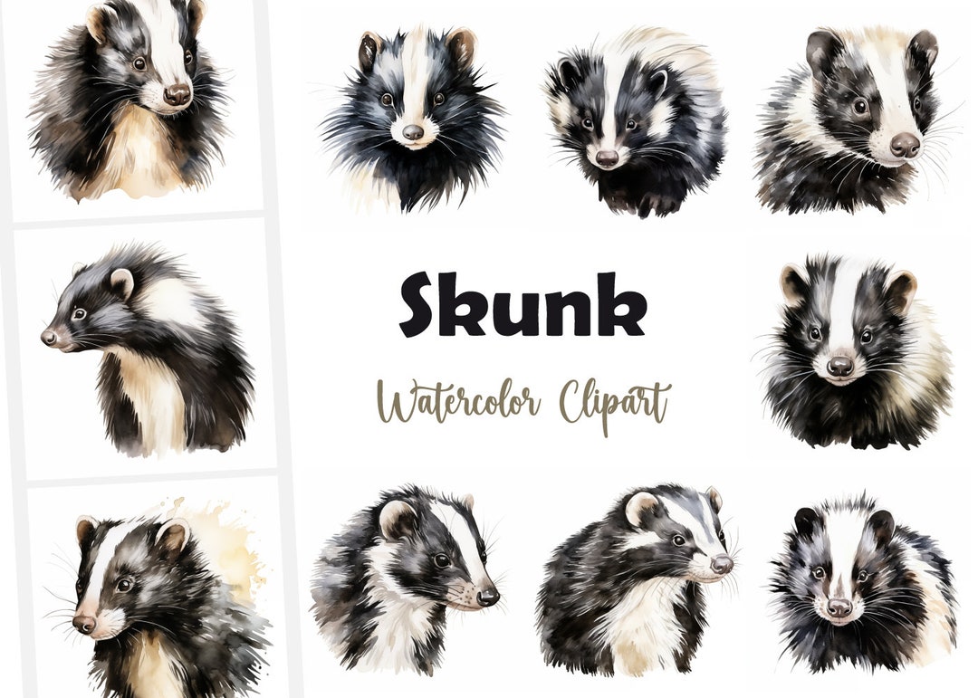 Skunk Clipart, Baby Skunk Images, 10 Watercolor Clip Art, Printable ...