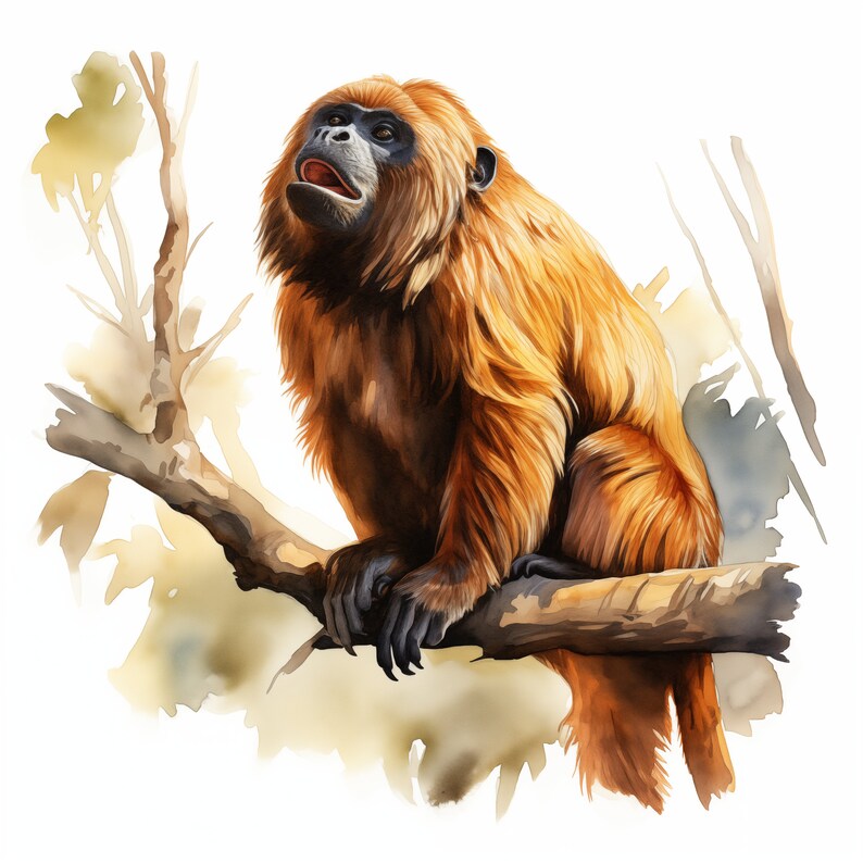Howler Monkey Clipart, Rainforest Primates Images, 10 Watercolor Clip ...