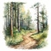 Forest Path Clipart, Path in Woods Images, 10 Watercolor Clip Art ...