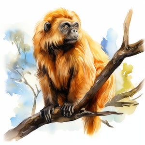 Howler Monkey Clipart, Rainforest Primates Images, 10 Watercolor Clip ...