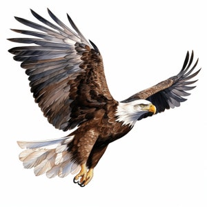 Watercolor Bald Eagle Clipart: Printable JPG Images (commercial Use) - Etsy