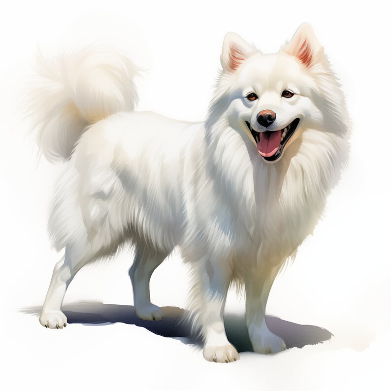 Japanese Spitz Watercolor Clipart: Dog Breed Art (jpgs) - Etsy