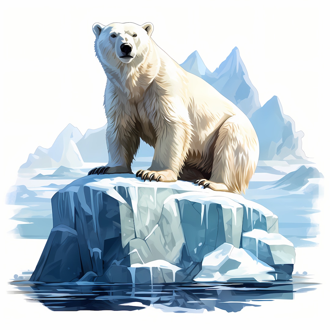 Watercolor Polar Bear Clipart: Arctic Animal Jpgs (commercial Use) - Etsy