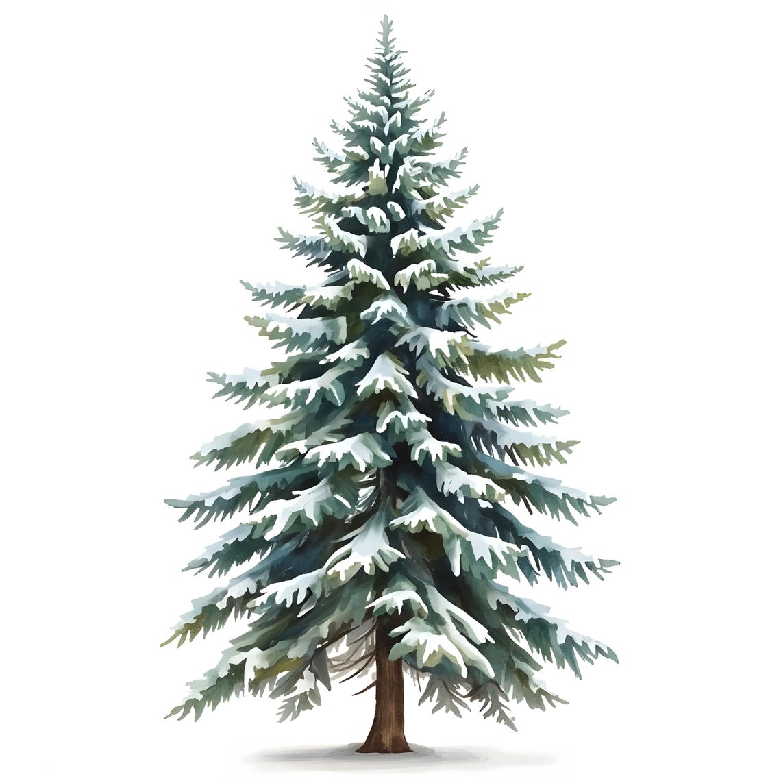 Pine Tree Clipart, Winter Tree Images, 10 Watercolor Clip Art ...