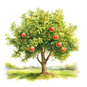 Watercolor Apple Tree Clipart: Orchard Images (digital Download) - Etsy