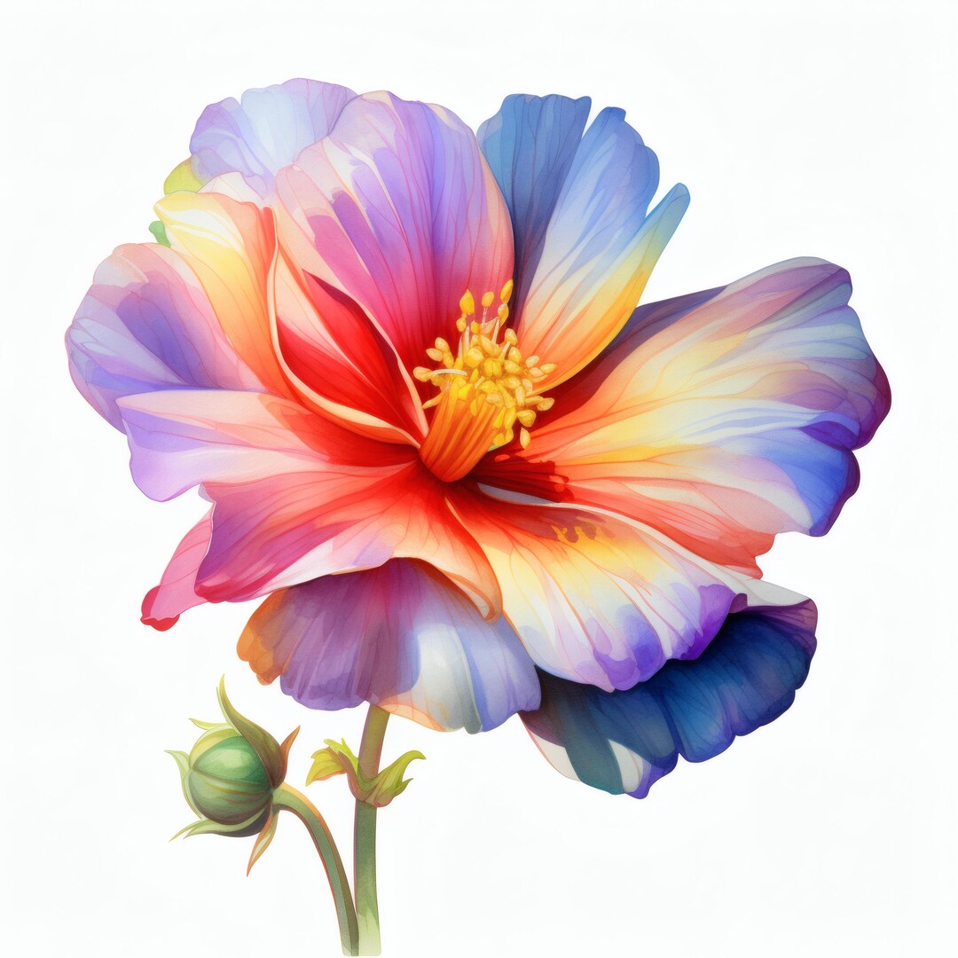 Rainbow Flower Clipart, Colorful Bloom Images, 10 Watercolor Clip Art ...