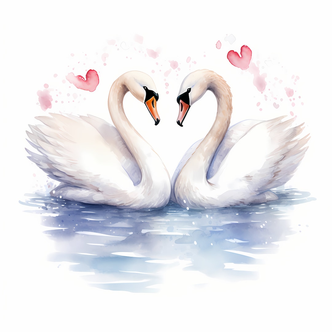 Two Swans Clipart, Swan Couple, Romantic Swans Images, 10 Watercolor ...