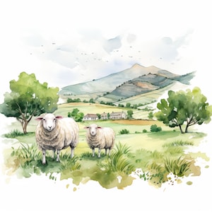 Sheep Clipart, Farmyard Sheep Images, 12 Watercolor Clip Art, Printable ...