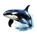Killer Whale Clipart, Orca Images, 10 Watercolor Clip Art, Printable ...