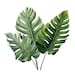 Tropical Leaves Clipart, Green Leaves Images, 10 Watercolor Clip Art ...