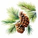 Pine Cones Clipart, Christmas Fir Tree Images, 10 Watercolor Clip Art ...