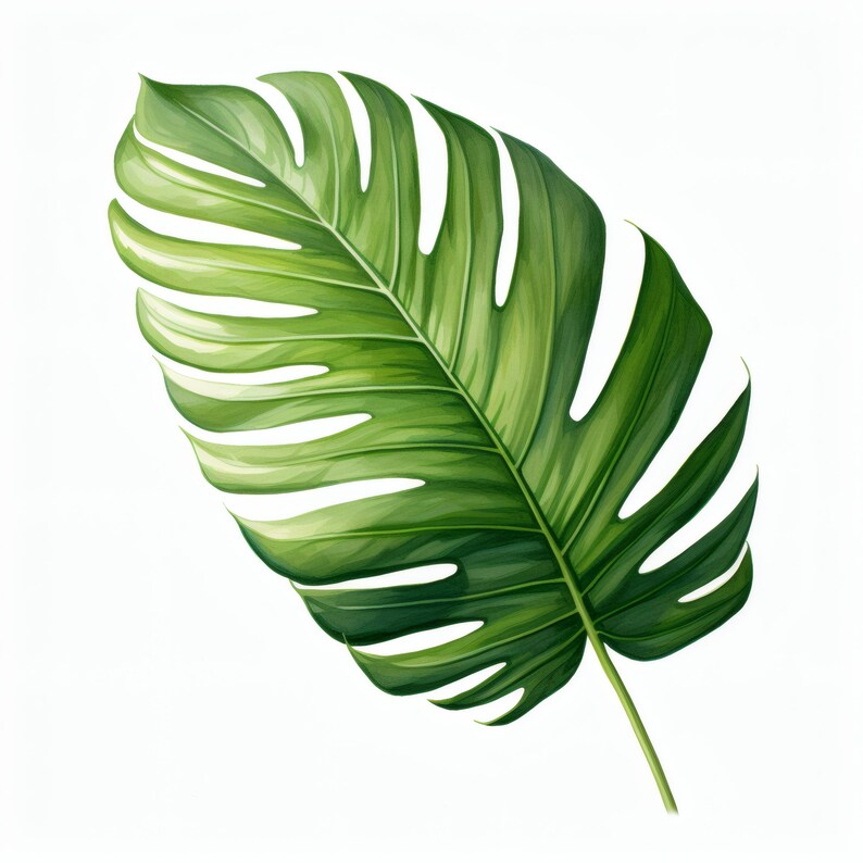 Palm Leaf Clipart, Tropical Green Leaf Images, 10 Watercolor Clip Art ...