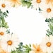 Daisy Frame Clipart, Daisy Flower Border Images, 10 Watercolor Clip Art ...