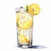 Tom Collins Cocktail Clipart: Watercolor Drink Images (jpgs, Commercial ...