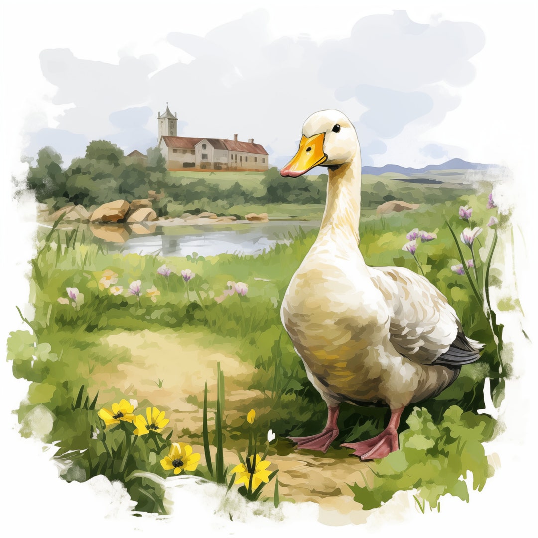 Duck Clipart, Farm Duck Images, 15 Watercolor Clip Art, Printable Jpgs ...