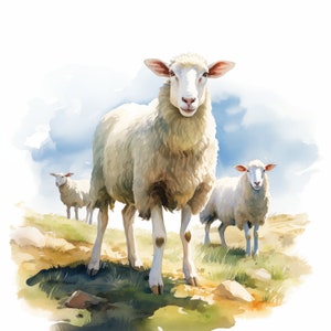 Sheep Clipart, Sheep on Farm Images, 10 Watercolor Clip Art, Printable ...