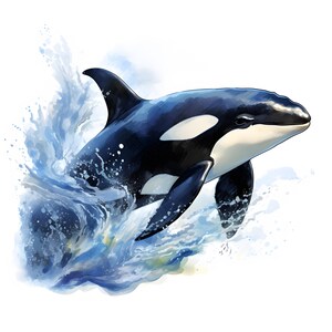 Killer Whale Clipart, Orca Images, 10 Watercolor Clip Art, Printable ...