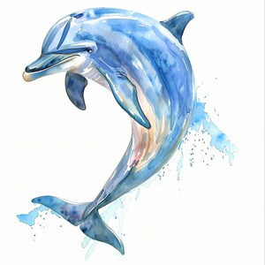 Dolphin Clipart, Tropical Dolphins Images, 10 Watercolor Clip Art ...