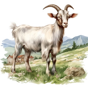 Farm Goat Clipart, Goat Images, 14 Watercolor Clip Art, Printable Jpgs ...