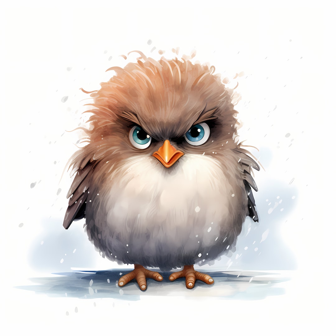 Grumpy Bird Clipart, Fluffy Birds Images, 10 Watercolor Clip Art ...