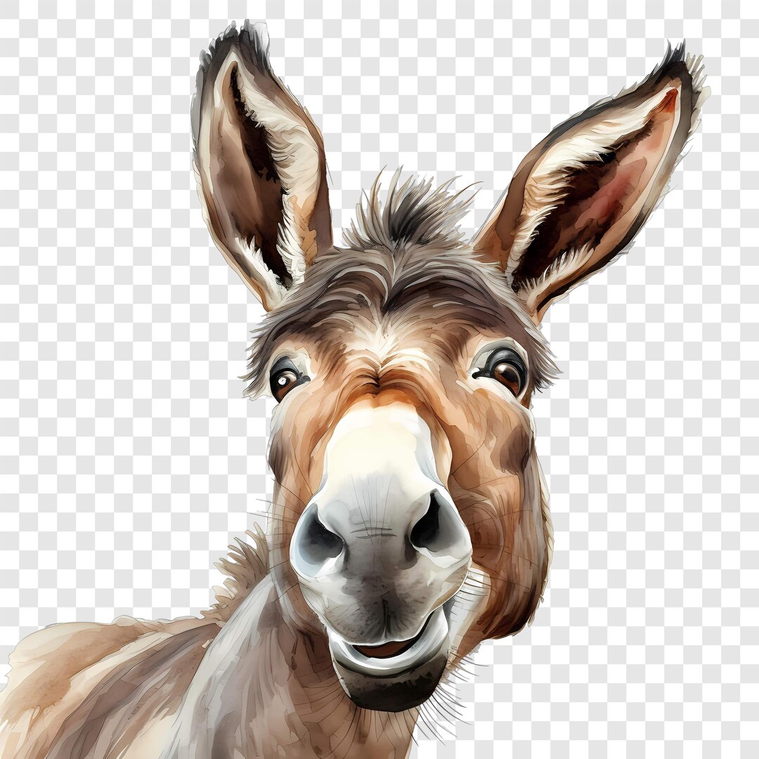 9 PNG Donkey Clipart, Farm Animal Portrait Images, Watercolor Clip Art ...