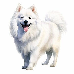 Japanese Spitz Clipart, Japanese Dog Images, 10 Watercolor Clip Art ...