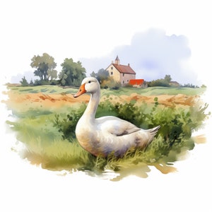 Duck Clipart, Farm Duck Images, 15 Watercolor Clip Art, Printable Jpgs ...