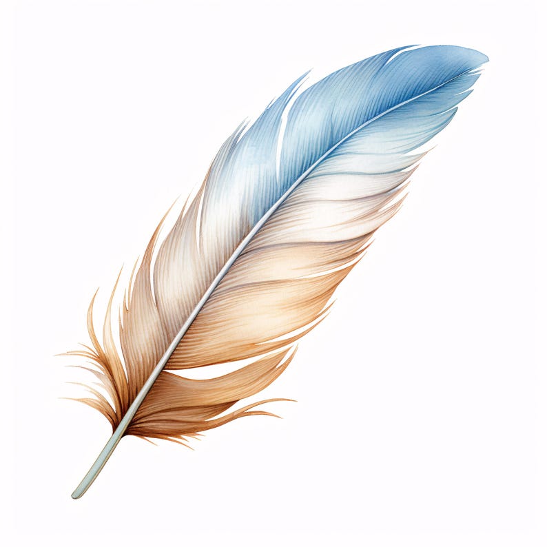 Watercolor Feather Clipart: 10 Printable Bird Feather Images ...