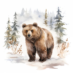 13 Brown Bear, Bear in Winter Clipart, Watercolor Clipart, High Quality ...