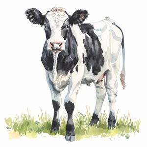Farm Cow Clipart, Dairy Cows Images, 10 Watercolor Clip Art, Printable ...