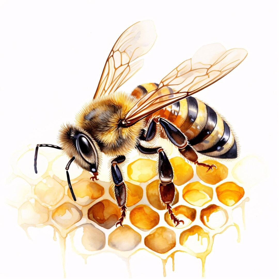 Honey Bee Clipart, Beehive Honeycomb Images, 10 Watercolor Clip Art ...