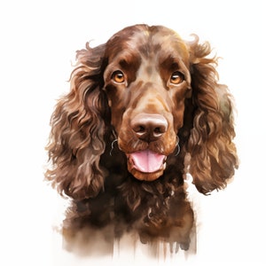 Irish Water Spaniel Clipart, Spaniel Dog Images, 10 Watercolor Clip Art ...