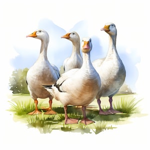 Goose Clipart, Farm Geese Images, 10 Watercolor Clip Art, Printable ...
