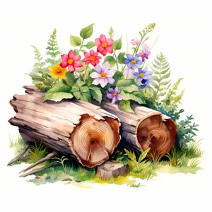 Watercolor Log Clipart: Wildflower Images (jpgs, Commercial Use) - Etsy
