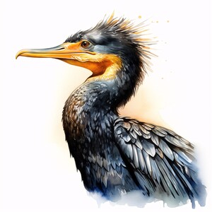 Cormorant Bird Clipart, Waterbird Images, 10 Watercolor Clip Art ...
