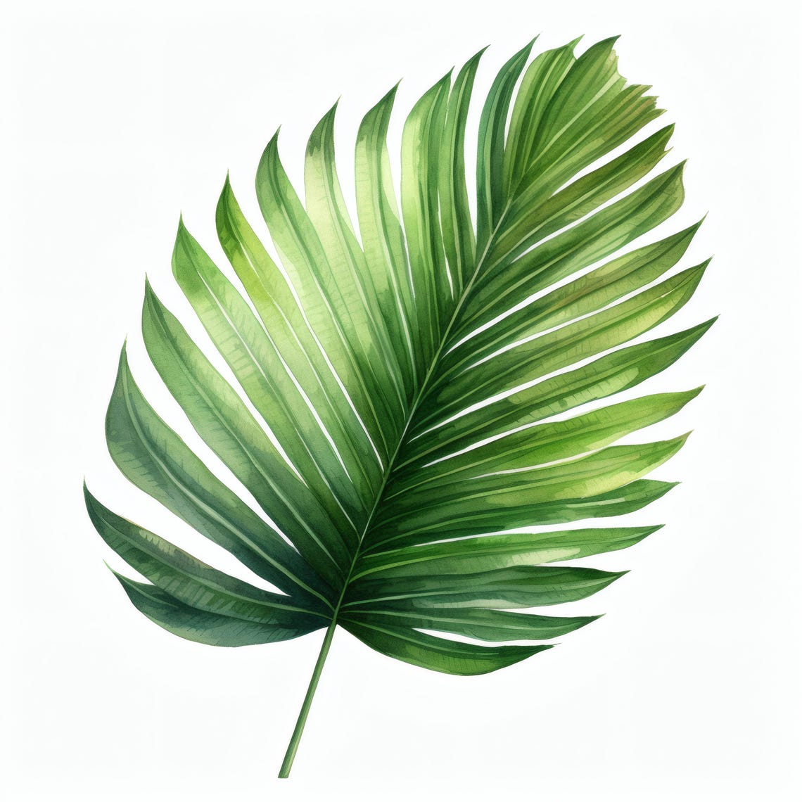 Palm Leaf Clipart, Tropical Green Leaf Images, 10 Watercolor Clip Art ...