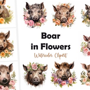 Wild Boar, Boar With Flowers, Forest Animal - Watercolor Clipart Set ...