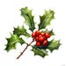 Holly Branch Clipart, Holly Berries Images, 10 Watercolor Clip Art ...