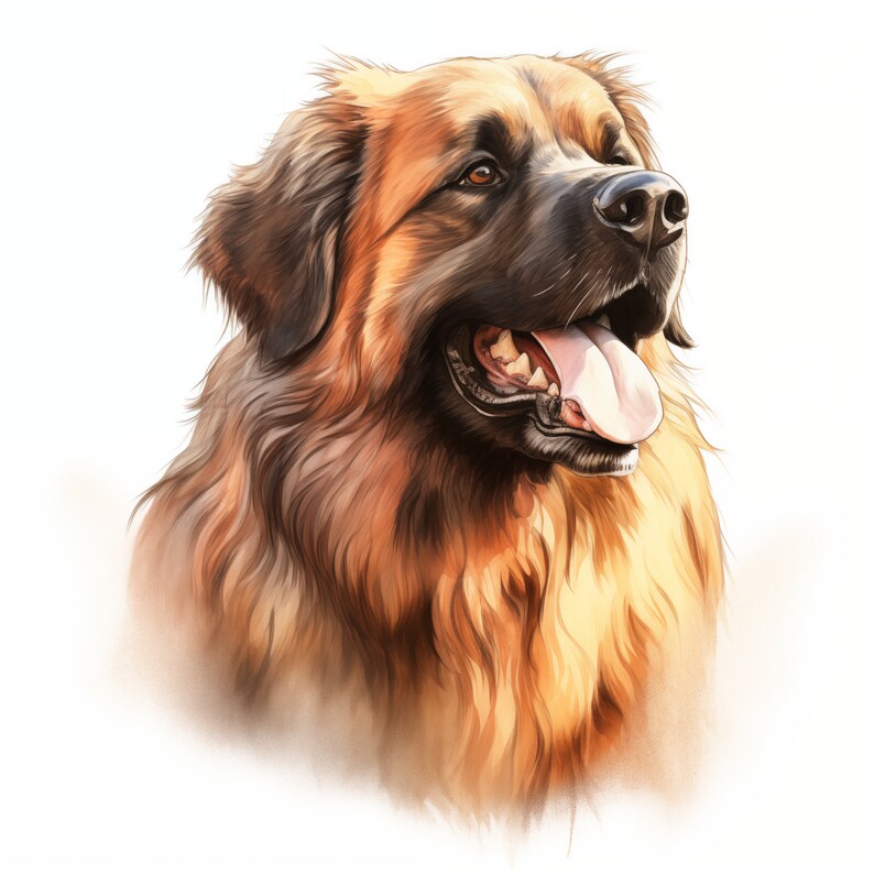 Leonberger Clipart, Leonberger Dog Images, 10 Watercolor Clip Art ...