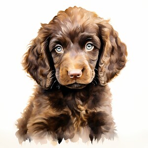 Irish Water Spaniel Clipart, Puppy Dog Images, 10 Watercolor Clip Art ...