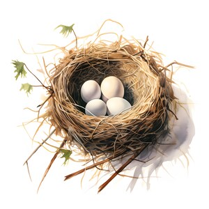 Bird Nest Clipart, Eggs in Nest Images, 10 Watercolor Clip Art ...