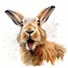 Surprised Hare, Shocked Rabbit, Forest Animal Watercolor Clipart Set ...