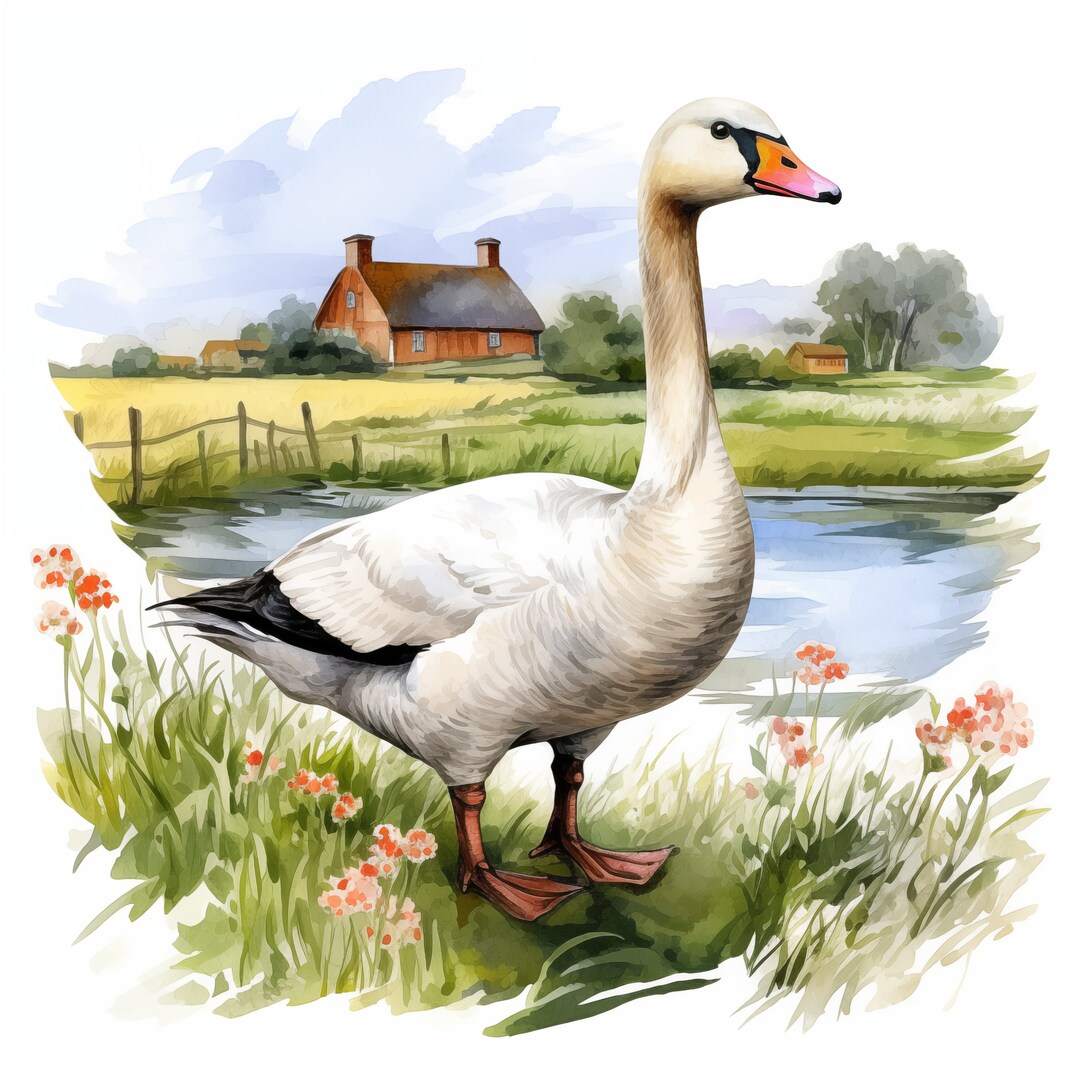 Goose Clipart, Geese Images, 14 Watercolor Clip Art, Printable Jpgs ...
