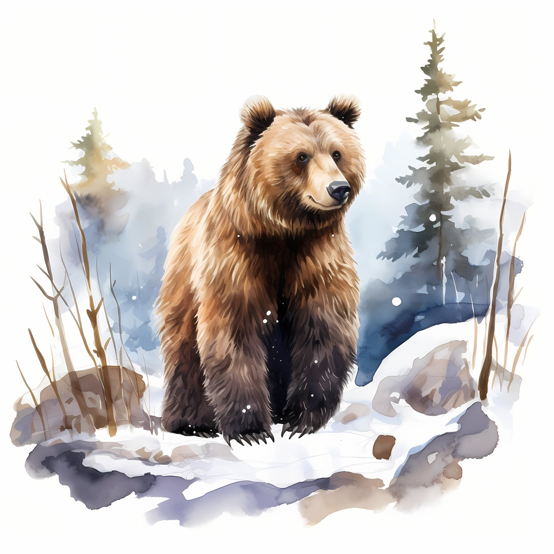 Winter Bear Clipart, Brown Bear Images, 10 Watercolor Clip Art ...