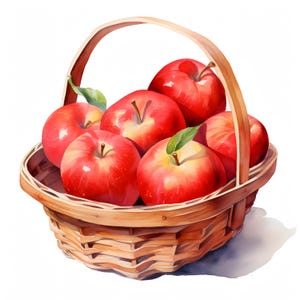Red Apples Clipart, Apples in Basket Images, 10 Watercolor Clip Art ...