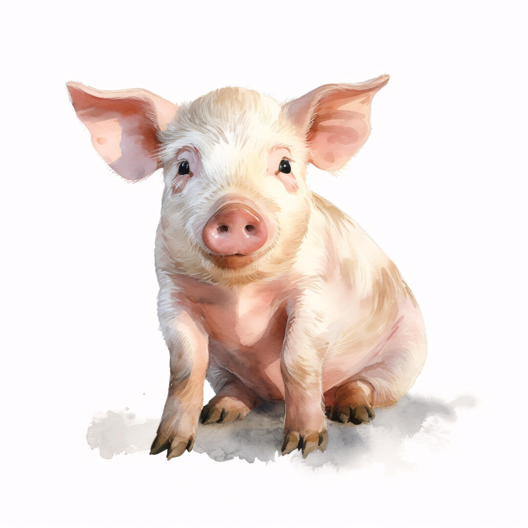 Watercolor Pig Clipart: Farm Animal JPG Images (commercial Use, Instant ...