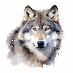 Winter Wolf Clipart, Wolves in Winter Images, 10 Watercolor Clip Art ...