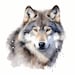 Winter Wolf Clipart, Wolves in Winter Images, 10 Watercolor Clip Art ...
