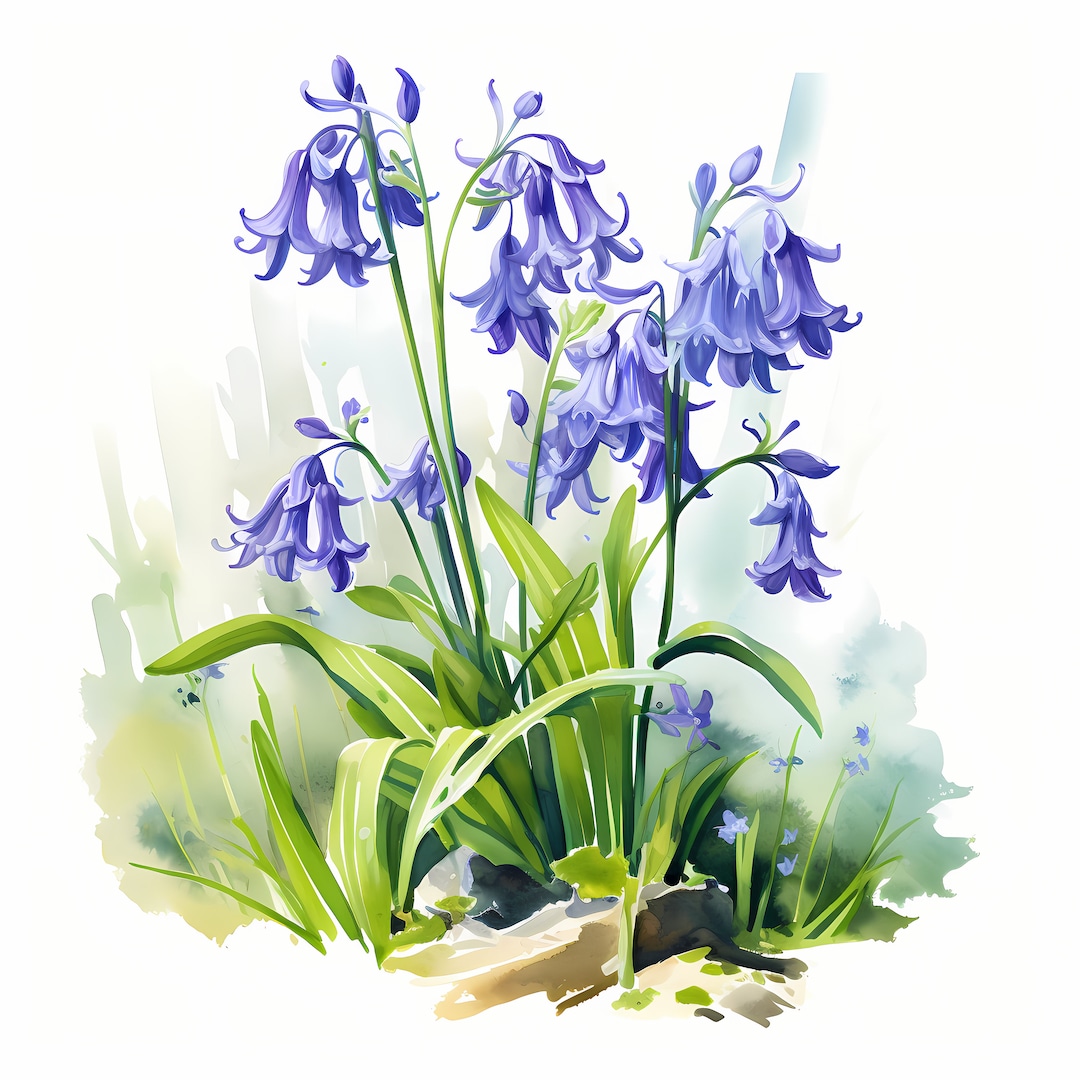 Bluebells Clipart, Forest Blue Bells Images, 10 Watercolor Clip Art ...