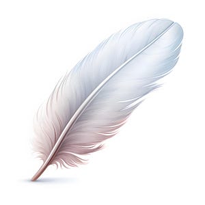 Watercolor Feather Clipart: Elegant Feather Images (jpgs, Commercial ...